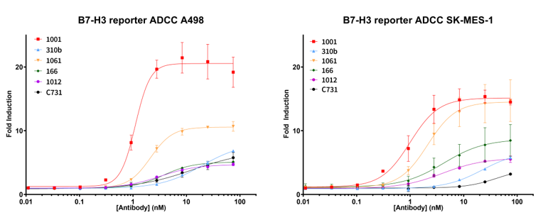 Cell-based functional bioassays for antibodies targeting BCMA & B7-H3