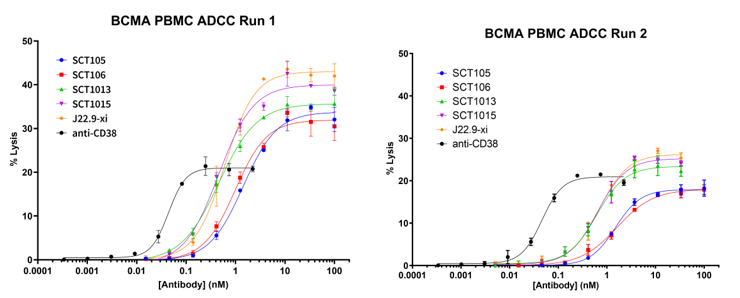 Cell-based functional bioassays for antibodies targeting BCMA & B7-H3