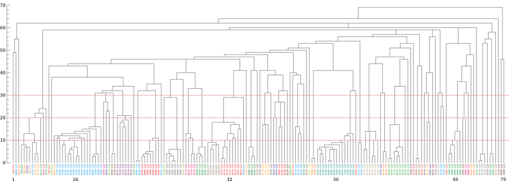 Cell-based functional bioassays for antibodies targeting BCMA & B7-H3