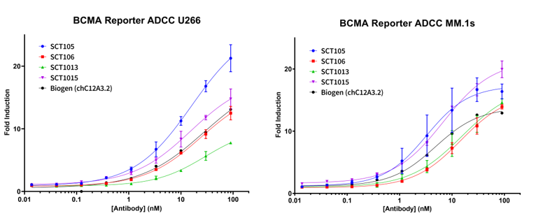 Cell-based functional bioassays for antibodies targeting BCMA & B7-H3