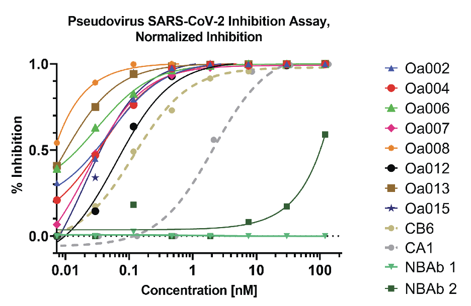 Upfront Blocking Assay to Discover Neutralizing Anti-SARS-CoV-2 Antibodies