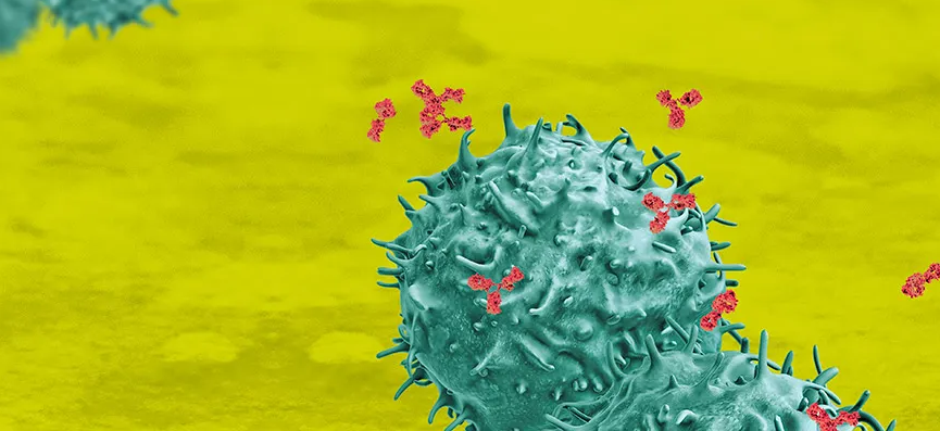 X-Talks Webinar with Miltenyi Biotec